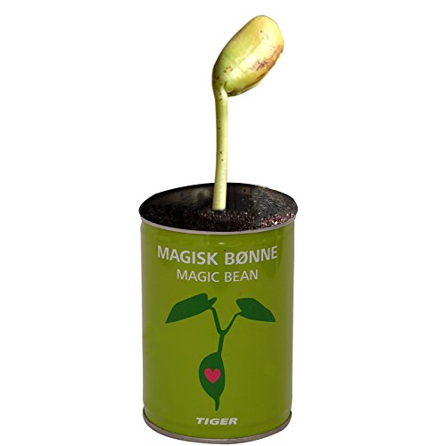 magic bean tiger instructions