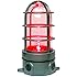 Amazon.com : NHL The Goal Light and Horn with 30 Team Labels : Sports ...