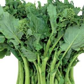 BROCCOLETTO - QUARANTINO RICCIO - 3 GM ~ 2050 FINEST SEEDS: Amazon.co ...