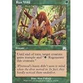 Amazon.com: Magic The Gathering - Overrun - Magic 2010 : Toys & Games