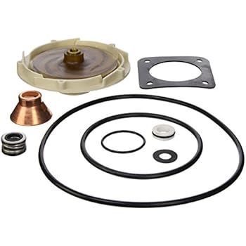 Amazon.com : Pentair PP1200 Seal Gasket Replacement Kit Sta-Rite Pool ...