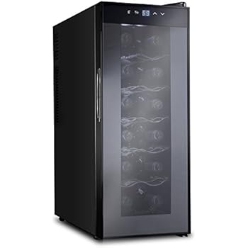 Amazon.com: Avanti 12 Bottle Thermoelectric Counter Top Wine Cooler ...