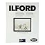 Amazon.com: Ilford Multigrade Art 300, Variable Contrast, Black and ...
