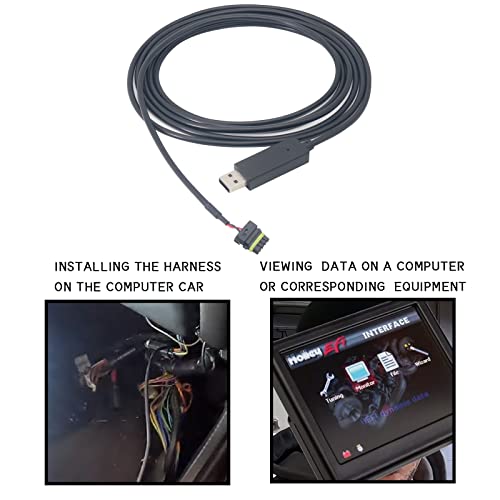 USB/CAN Cable w/Built in Splitter for Holley EFI Sniper EFI Terminator ...
