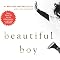 Beautiful Boy: A Father's Journey Through His Son's Addiction: Sheff ...
