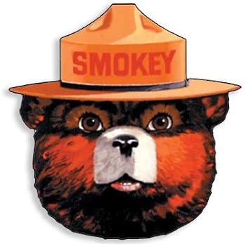 Amazon.com: American Vinyl Full Color Smokey The Bear Face Shaped ...