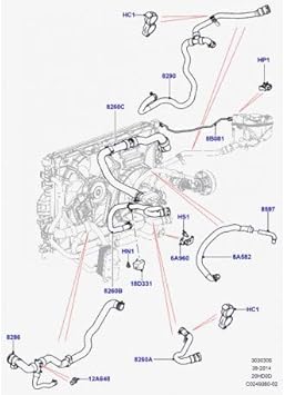 Amazon.com: Genuine Land Rover LR054981 - Coolant Hose: Automotive