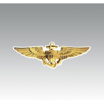 Amazon.com: American Vinyl Gold Navy Aviator Wings Shaped Sticker (Logo ...