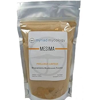 Amazon.com: Mesima Mushroom (Sang Huang) Powder 1 lb: Health & Personal ...