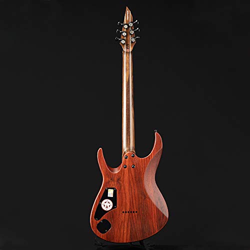 EART EXPLORER-1 Guitarra eléctrica Guitarra eléctrica de cuerpo sólido ...