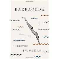 The Slap: A Novel: Tsiolkas, Christos: 9780143117148: Amazon.com: Books