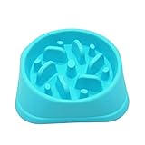 Maze Dog Food Bowl - Slows Rapid Eating - The Green Head