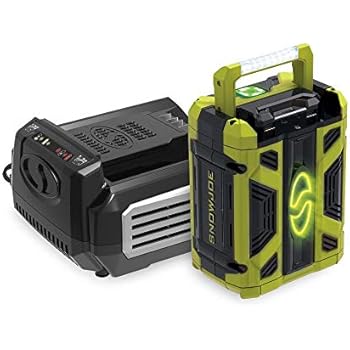 Amazon.com : Sun Joe iON100V-RCH 100-Volt Rapid Charger for iON100V ...