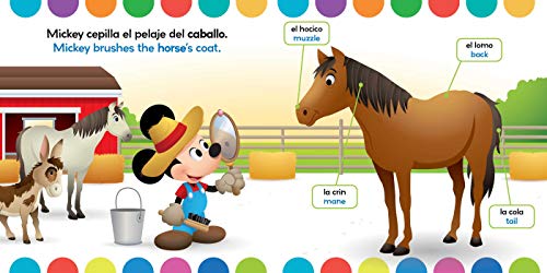 Farm Animals / Animales de granja (English-Spanish) (Disney Baby) (17 ...