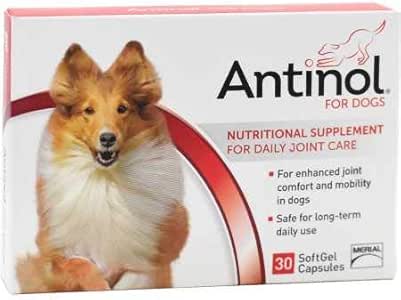 Antinol for Dogs 30 Soft Gel Capsules: Amazon.com.au: Pet Supplies