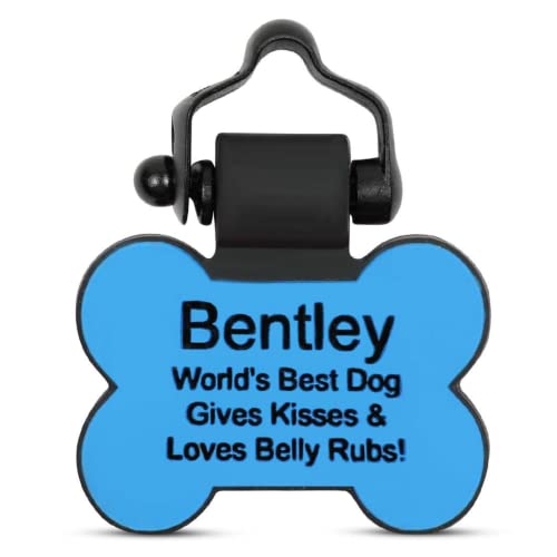 The Best Customizable Dog Tags - Dogtime