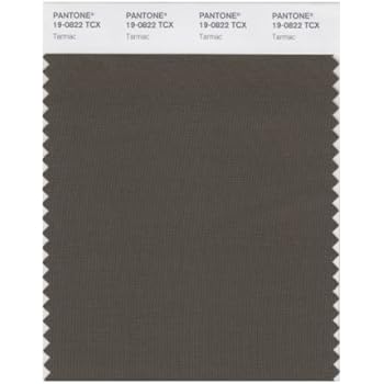 PANTONE SMART 19-0822X Color Swatch Card, Tarmac - House Paint - Amazon.com