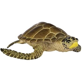 Amazon.com: Safari Ltd Wild Safari Sea Life Starfish: Toys & Games