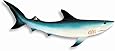 Amazon.com: Handpainted Blue Shark Fish Wall Mount Decor Plaque 18 ...