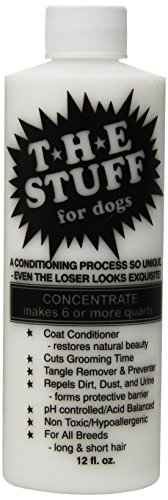 The Best Dog Conditioners - Dogtime