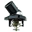Amazon.com: AISIN THT-017 Thermostat with Housing: Automotive