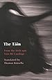 Amazon.com: The Tain: Translated from the Irish Epic Tain Bo Cuailnge ...