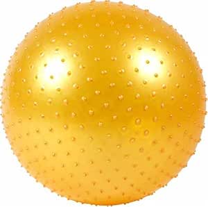 Amazon.com: Stamina Shiatsu Body Ball: Sports & Outdoors