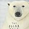 The Polar Bear: Jenni Desmond: 9781592702008: Amazon.com: Books