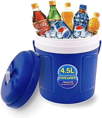 Portable Cooler with Handle Party Cooler for Drinks Beverage Cooler and ...