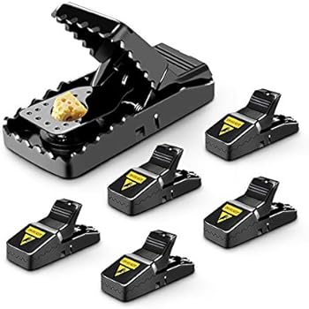 Amazon.com: Intruder 30442 The Better Mousetrap, 6-Pack: Home Improvement