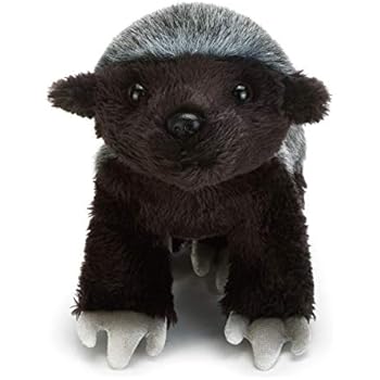Amazon.com: Wild Republic Honey Badger Plush, Stuffed Animal, Plush Toy ...