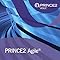 PRINCE2 Agile: Amazon.co.uk: Axelos: 9780113314676: Books