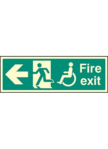 Caledonia Signs 32087L “Disabled Fire ExIt” Sign, Photo luminescent ...
