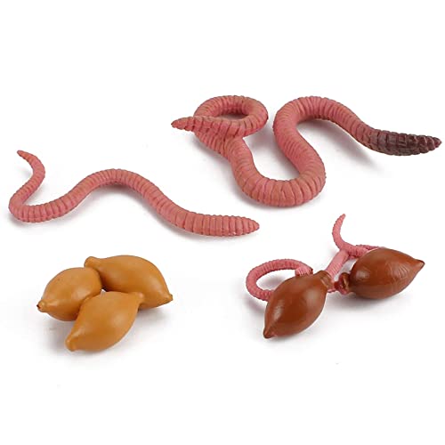 Life Cycle of Earthworm Toys Earthworm Life Cycle Figurines Set ...