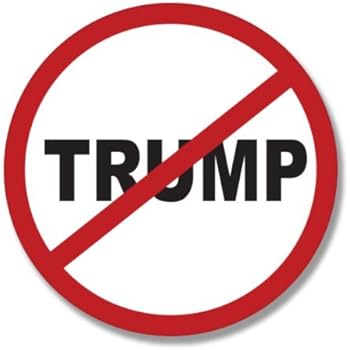 Amazon.com: Say No to Trump Protest - Vinyl Sticker - Car Window Bumper ...