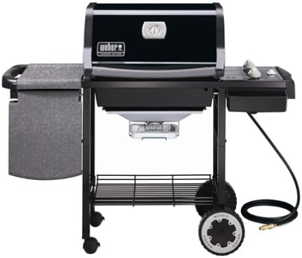 Amazon.com: Weber 2004 Model 6311001 Genesis Silver A Natural Gas Grill ...