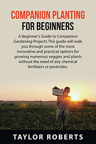 Companion Planting For Beginners: A Beginner's Guide to Companion ...