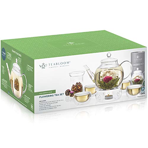 Teabloom Complete Tea Set – Glass Teapot (40 OZ), Loose Tea Glass ...