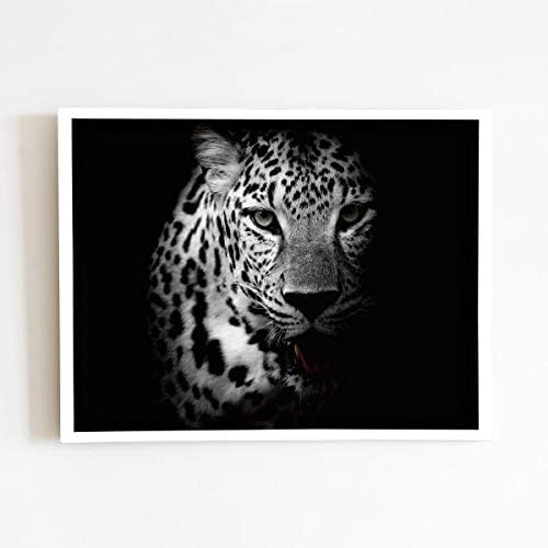 Leopard, Wild cat, animals, panther, IKEA, wall frames price in UAE ...