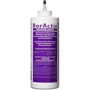 Amazon.com : Rockwell Labs BAIP001 BorActin Insect Dust Insecticide, 1 ...