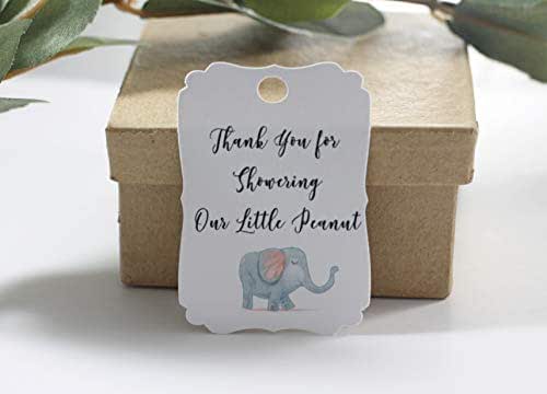 Amazon.com: Thank You for Showering Our Little Peanut Favor Tags (Set ...