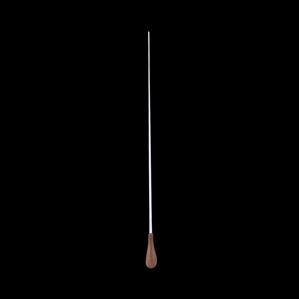 Music Conductor Baton, Ebony Handle Baton for Choral Symphony Concert ...