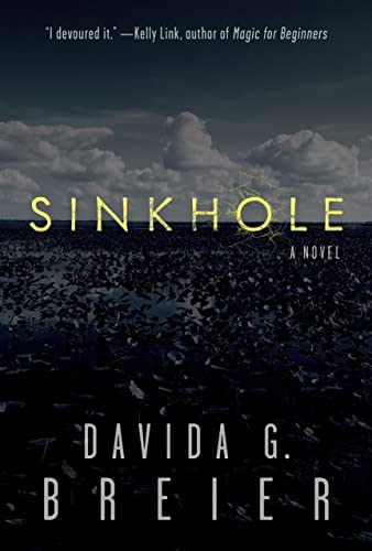 Amazon.com: Sinkhole: 9781608012305: Breier, Davida: Books