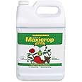 Amazon.com : Maxicrop Original Liquid Seaweed, 1 Gallon (Packaging May ...