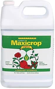 Amazon.com : Maxicrop Original Liquid Seaweed, 1 Gallon (Packaging May ...