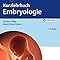 Kurzlehrbuch Embryologie - Ulfig, Norbert, Brand-Saberi, Beate - Amazon ...