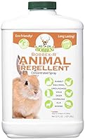 What Is The Best Rabbit Repellent For My Garden?