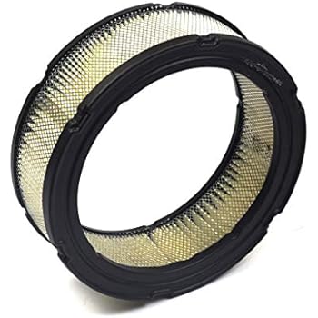 Amazon.com: Briggs & Stratton 394018S Round Air Filter Cartridge ...