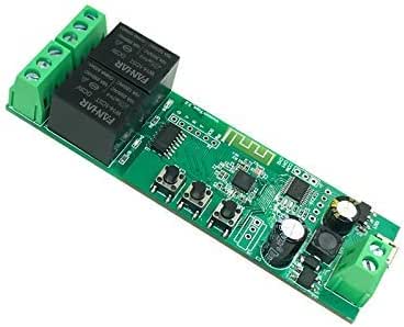 Newgoal 2-Channel WiFi Smart Switch Relay Module, TUYA/Smart Life App ...