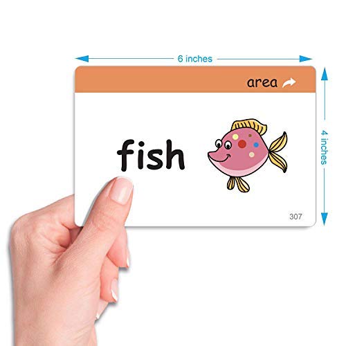 Little Champion Reader 1,000 Sight Word Flashcards Fry Dolch Cards with ...